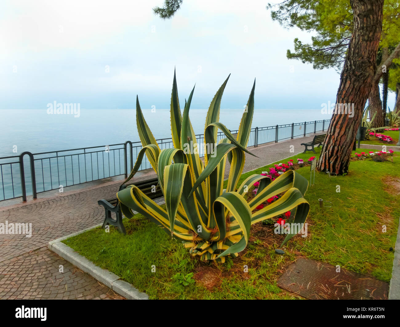 La passerelle sur la rive, Lac de Garde, Italie, Europe Photo Stock - Alamy