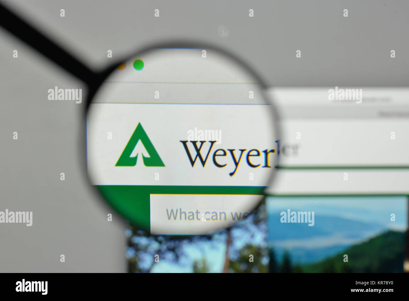 Logo weyerhaeuser Banque de photographies et d’images à haute ...