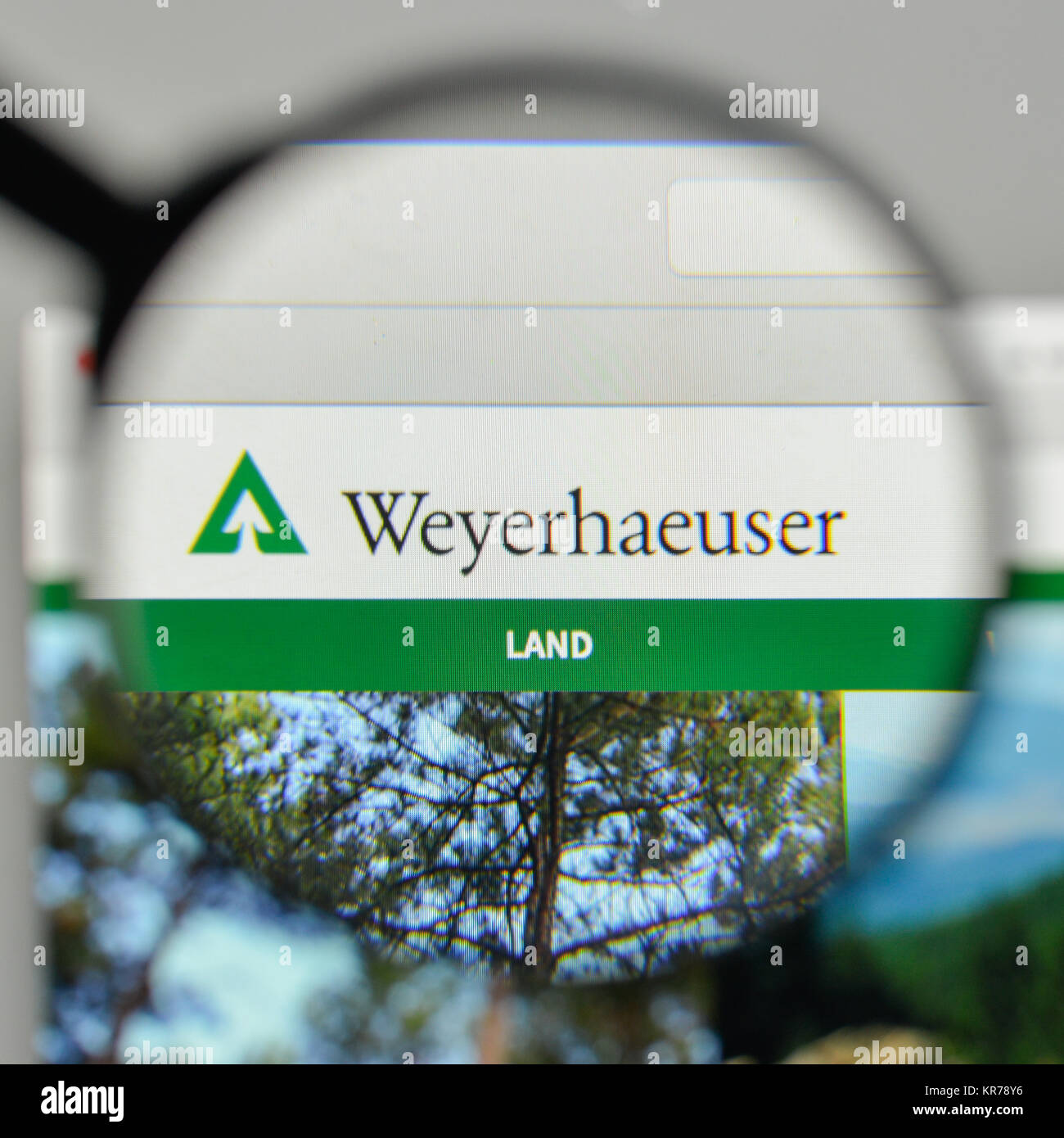 Logo weyerhaeuser Banque de photographies et d’images à haute résolution - Alamy