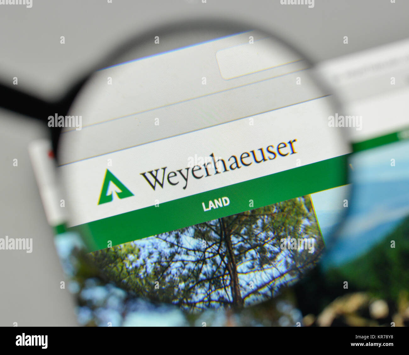 Logo weyerhaeuser Banque de photographies et d’images à haute résolution - Alamy