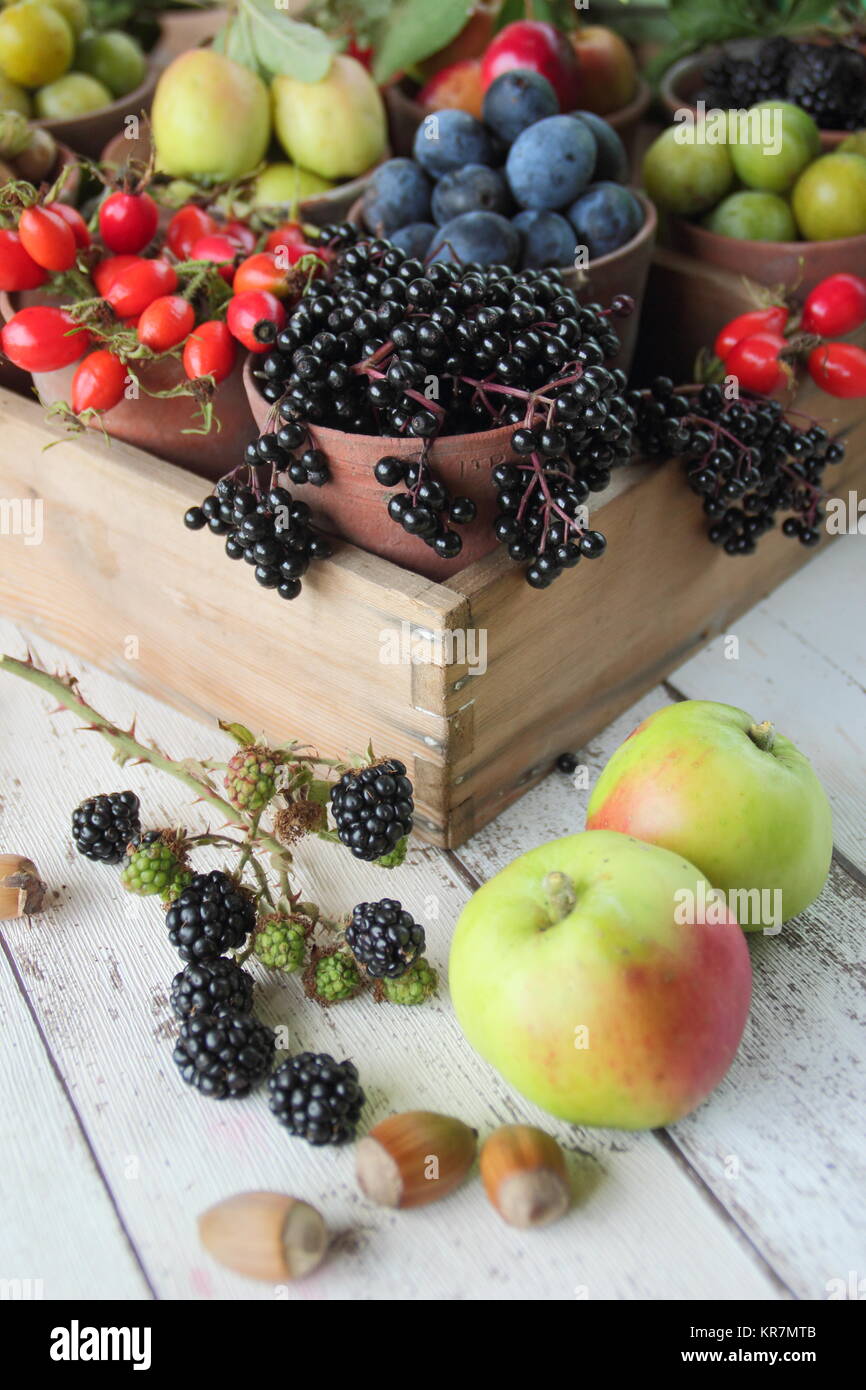 Baies et noix Banque de photographies et d’images à haute résolution ...