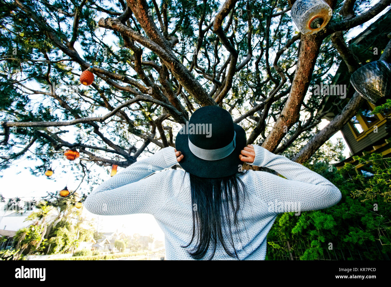 Femme accrochée à une branche d'arbre Banque de photographies et d ...