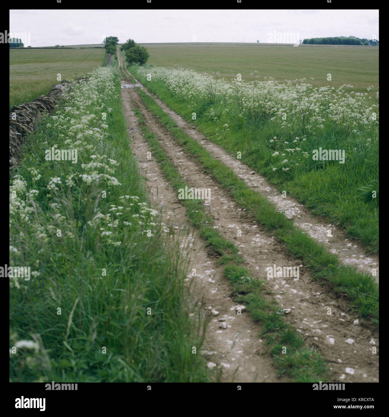 Voie romaine Banque de photographies et d’images à haute résolution - Alamy