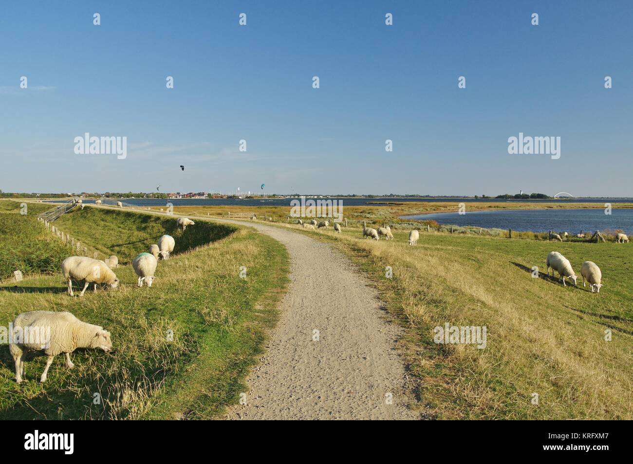 L'île de Fehmarn,vue depuis le döser seedeich lemkenhafen Photo Stock ...
