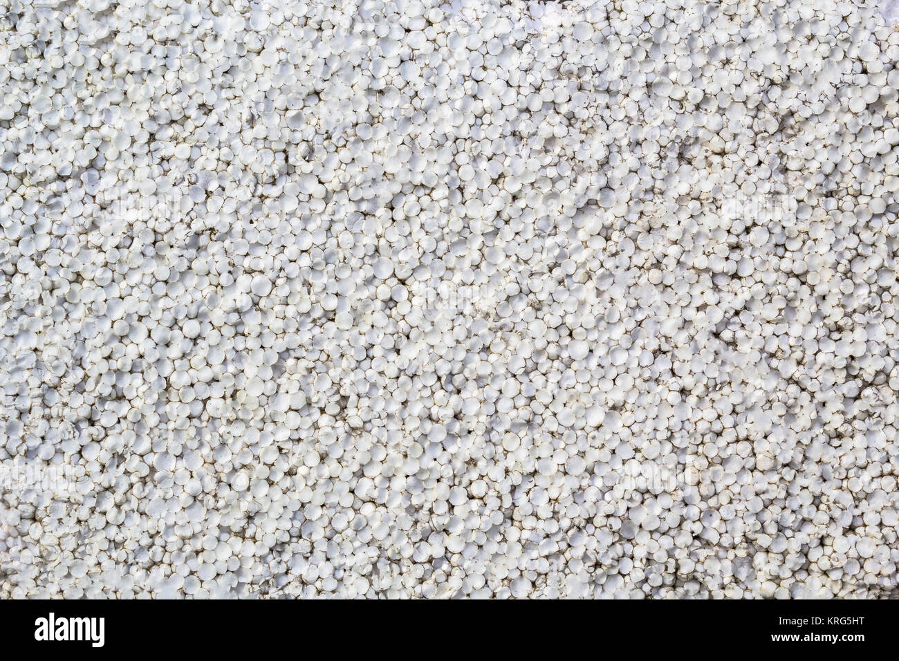 La texture des feuilles de polystyrène expansé blanc Photo Stock - Alamy