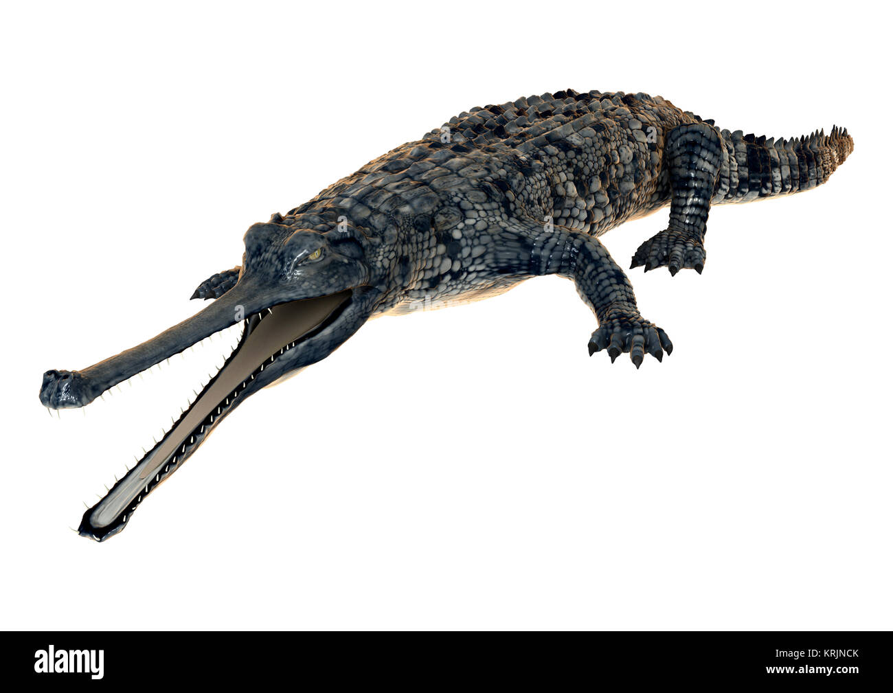Indian gharial gavialis Banque d'images détourées - Alamy
