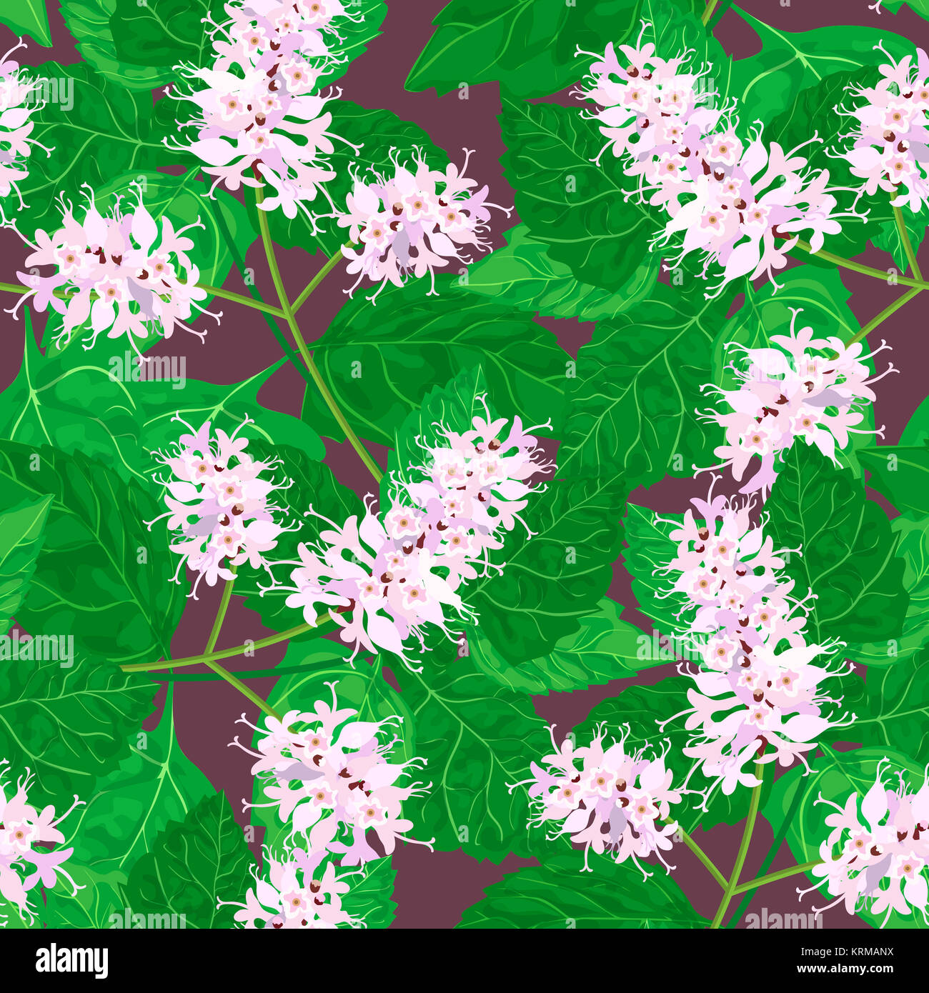 Patchouli illustration Banque de photographies et d’images à haute ...