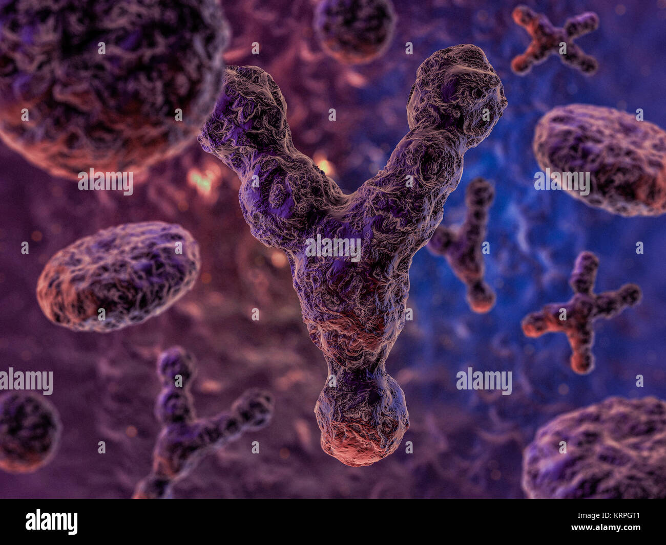 Chromosomes microscope Banque de photographies et d’images à haute résolution - Page 2 - Alamy