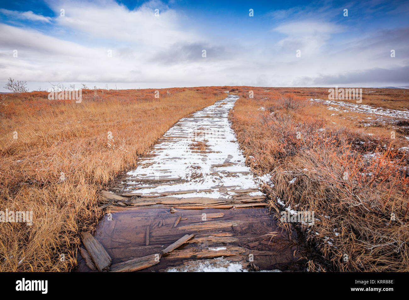 Corduroy road Banque de photographies et d’images à haute résolution ...