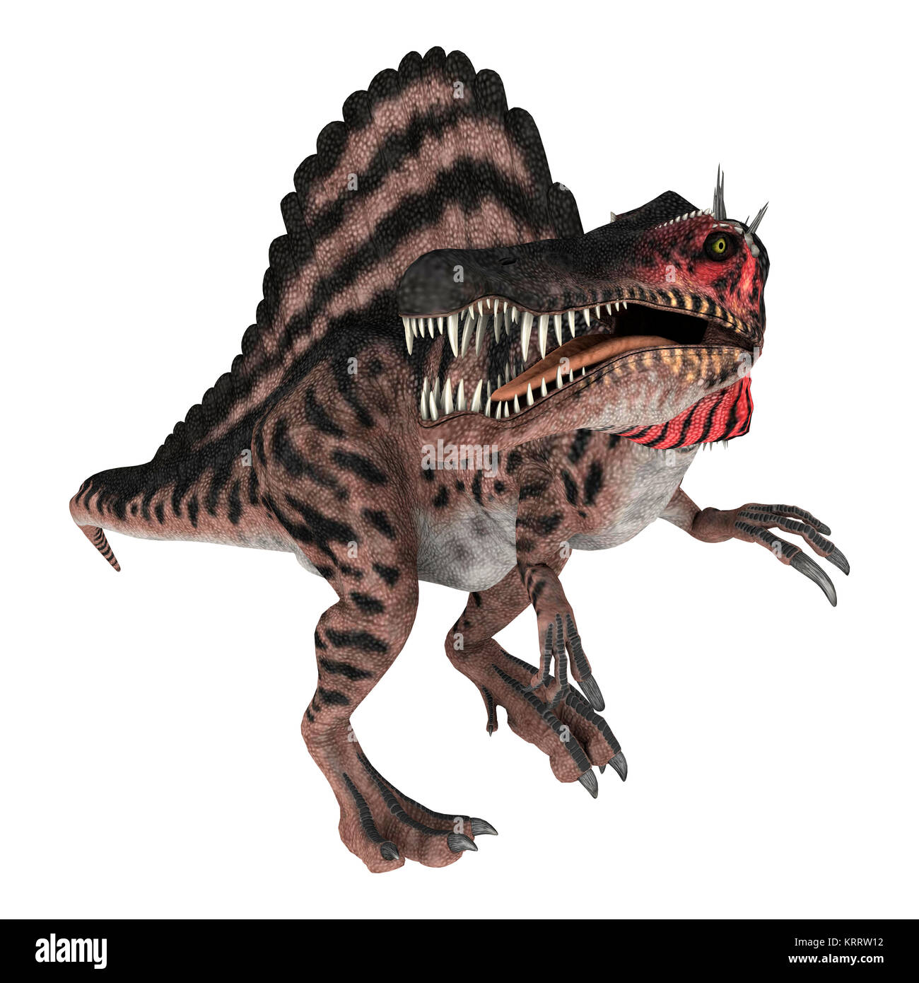 Dinosaure spinosaurus Banque de photographies et d’images à haute résolution - Alamy