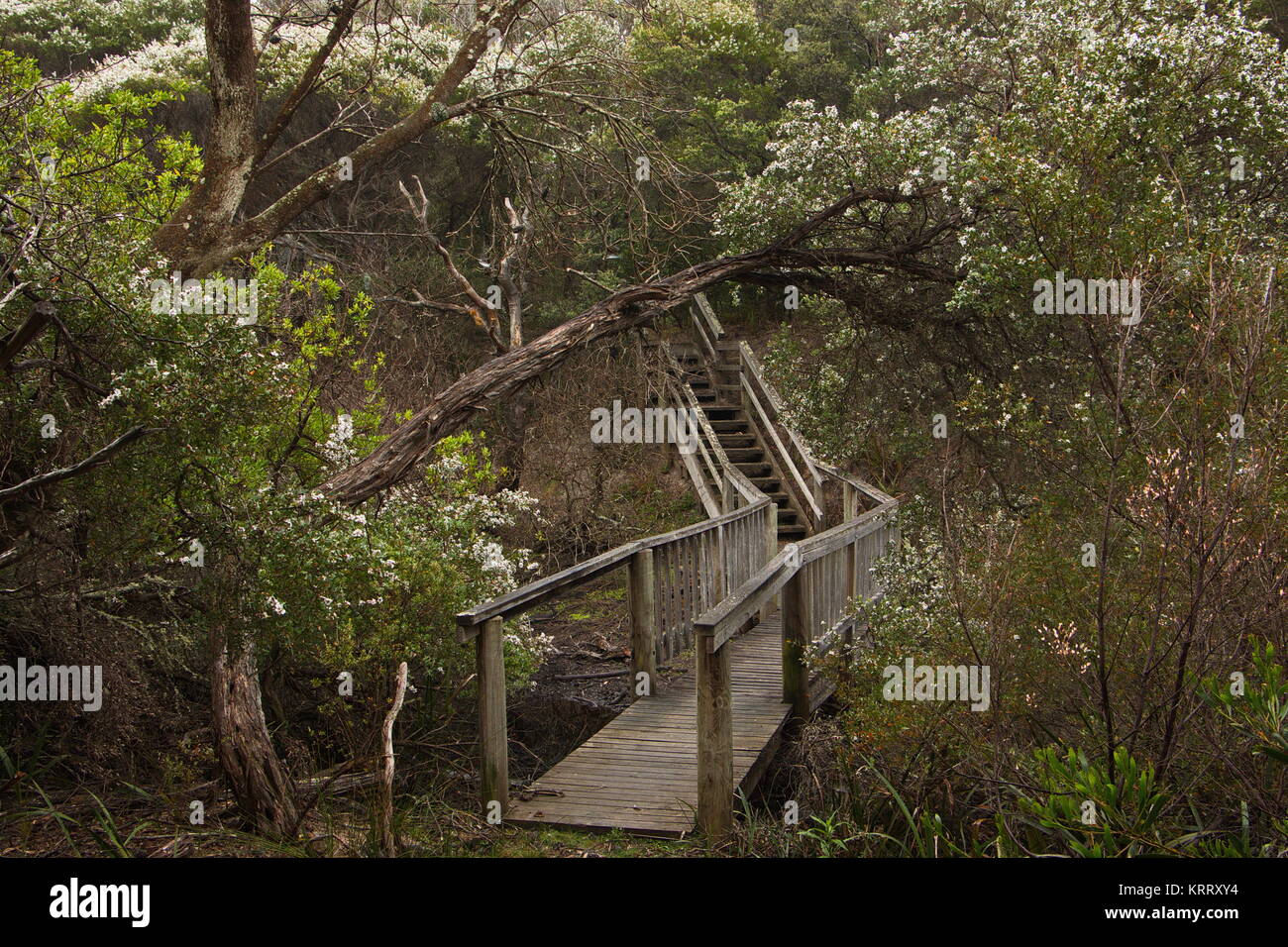 Cape conran Banque de photographies et d’images à haute résolution - Alamy