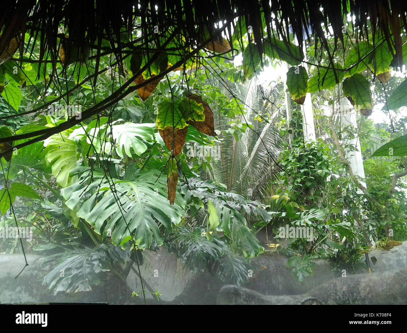 Artificial jungle Banque de photographies et d’images à haute ...