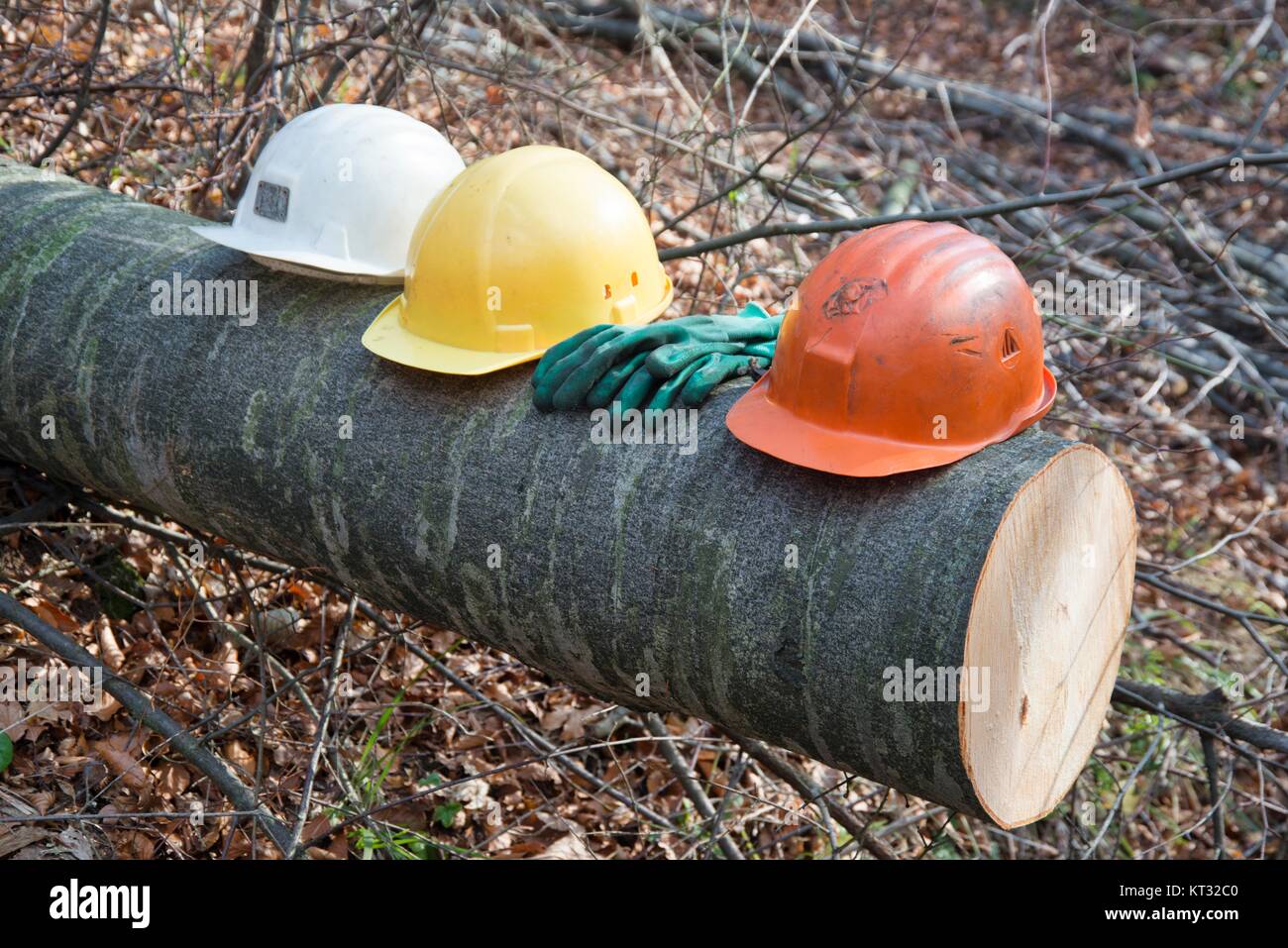 Boljevac Banque de photographies et d’images à haute résolution - Alamy