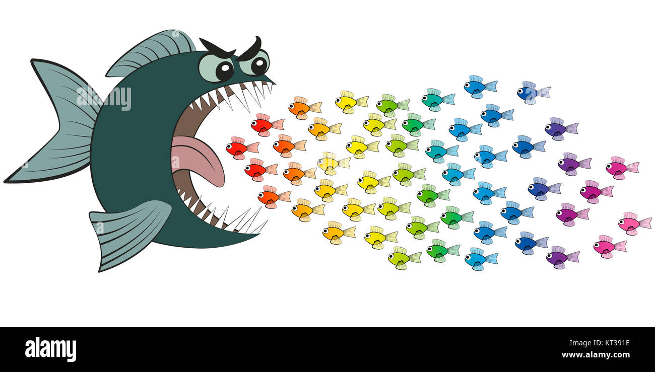 Gros poisson mangeant petit poisson Banque de photographies et d’images ...