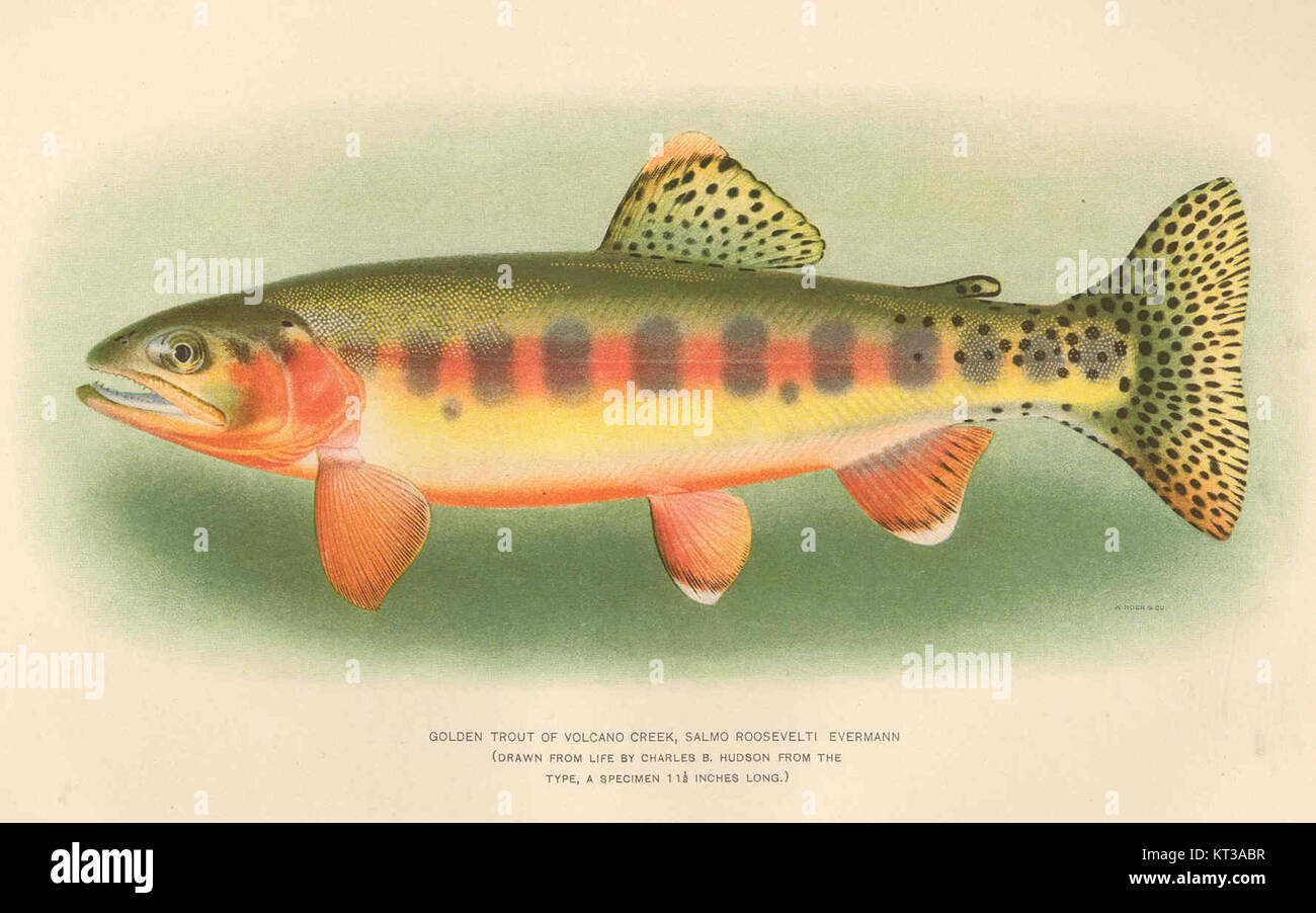 Volcan evermann Banque de photographies et d’images à haute résolution ...