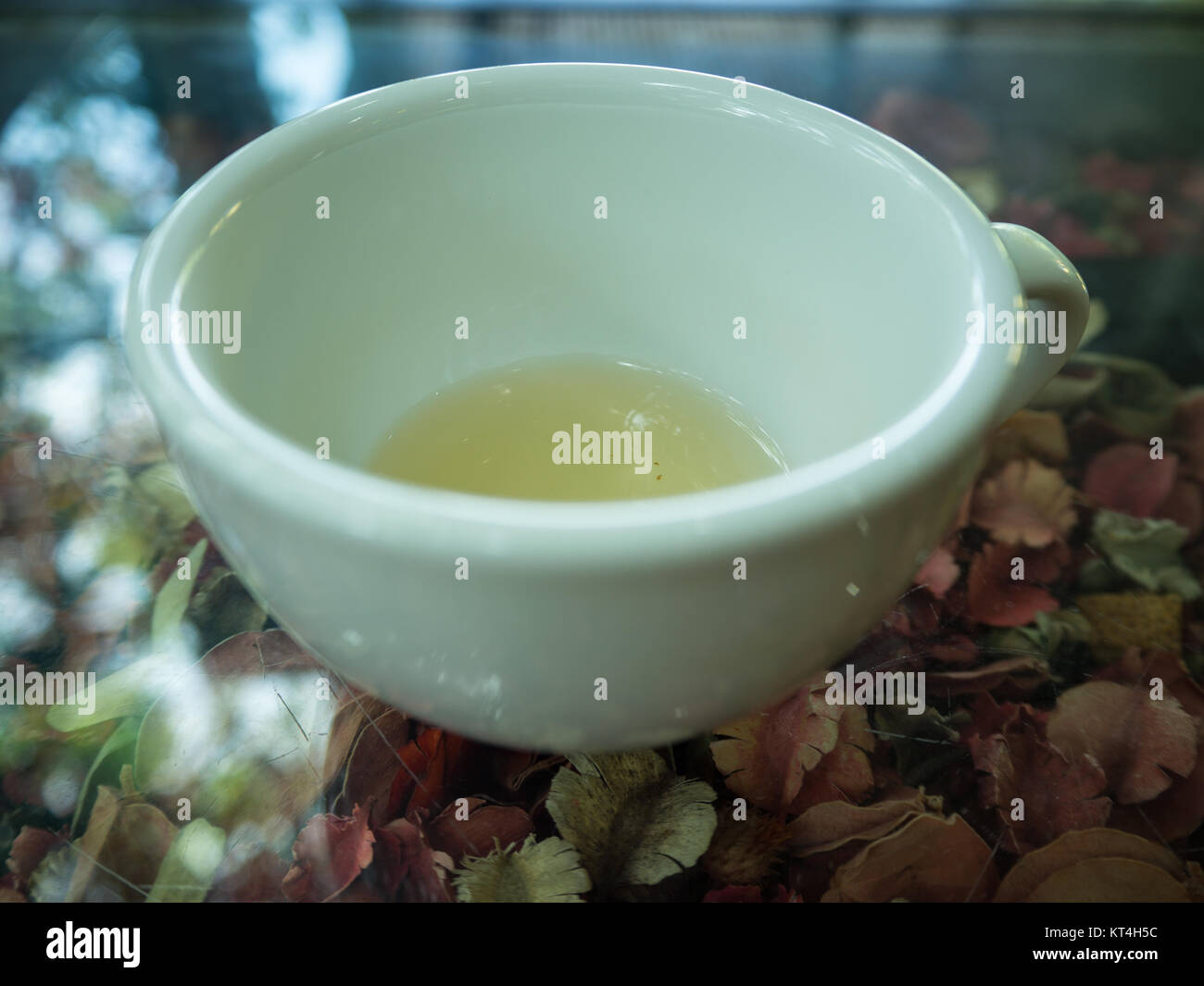Tasses blanches en porcelaine blanche Banque de photographies et d ...