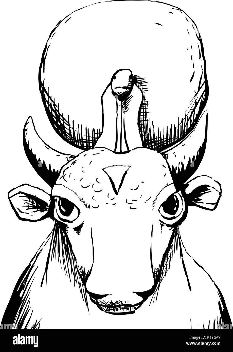 Taureau égyptien Banque de photographies et d’images à haute résolution ...