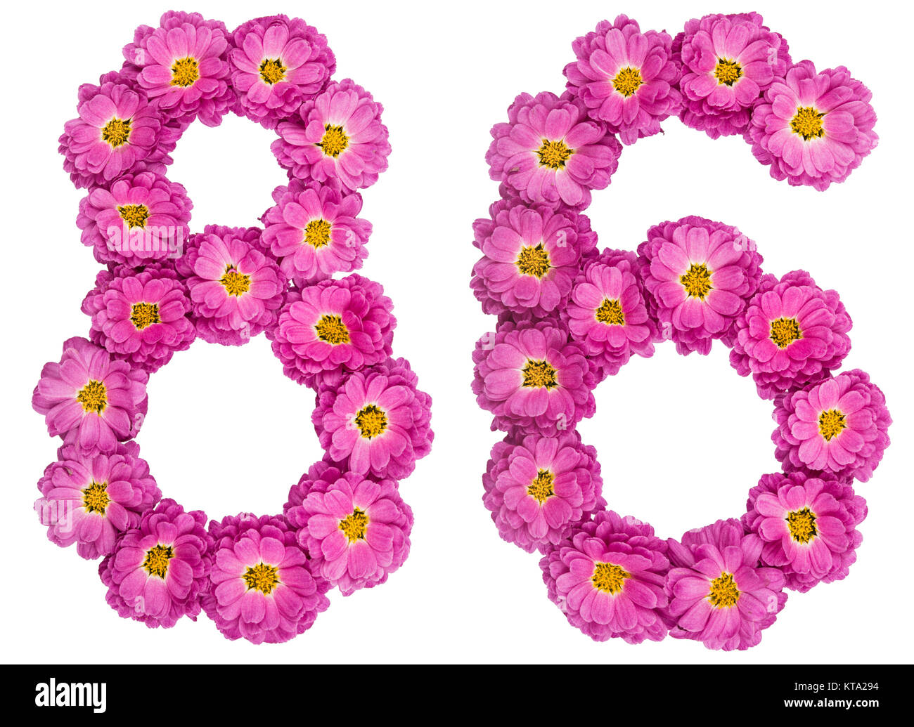 Chiffre arabe 86, quatre-vingt-six, des fleurs de chrysanthème, isolé ... Chiffre arabe 86, quatre-vingt-six, des fleurs de chrysanthème, isolé ...