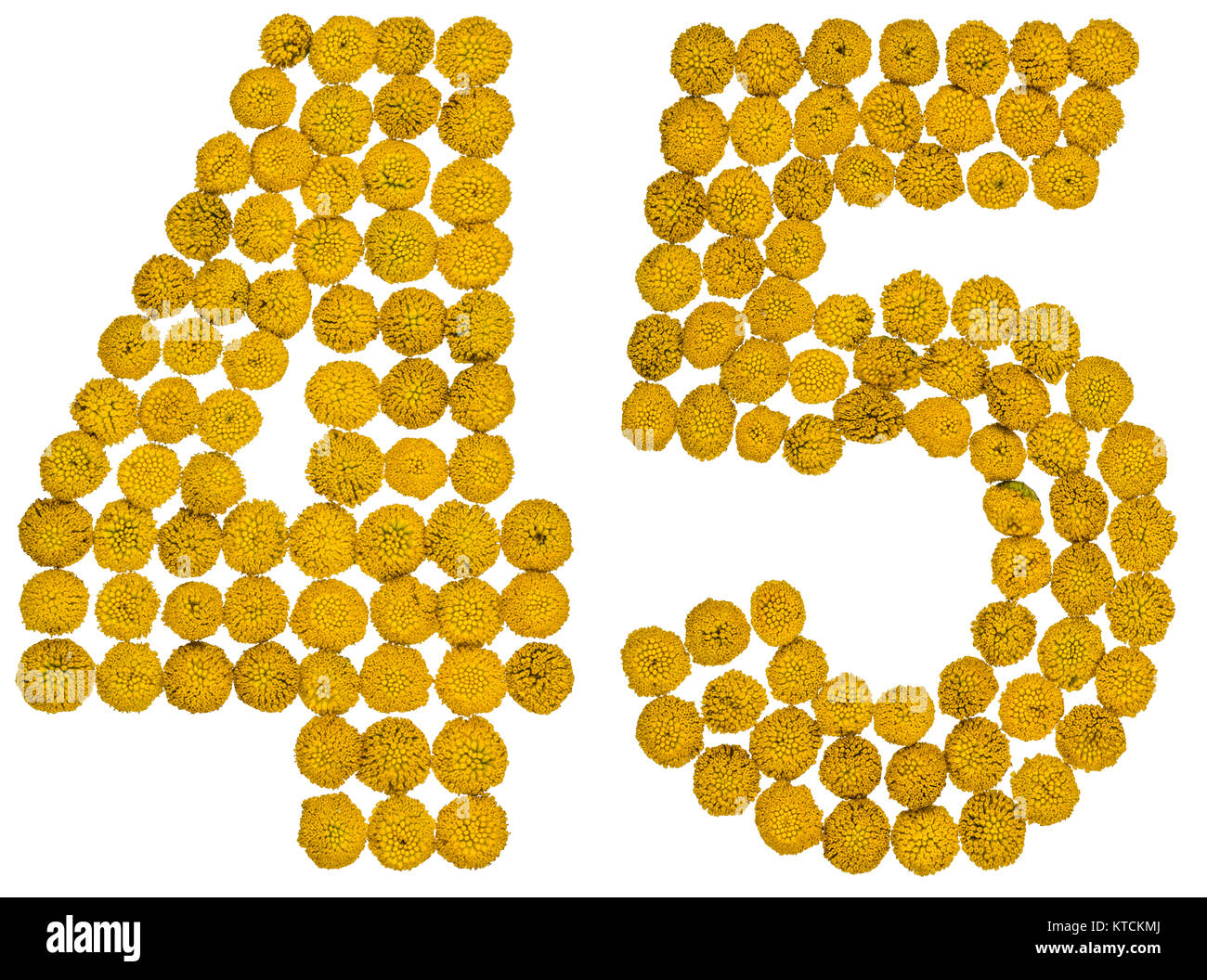 Chiffre arabe 45, quarante cinq, à partir de fleurs jaunes de tanaisie ...