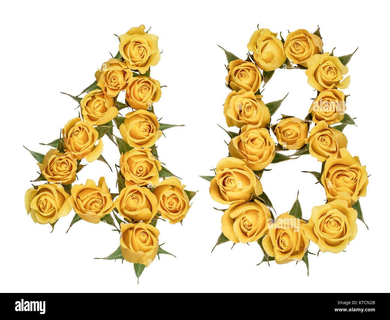 Chiffre arabe 48, quarante-huit, de fleurs de rose, jaune isolé sur ...