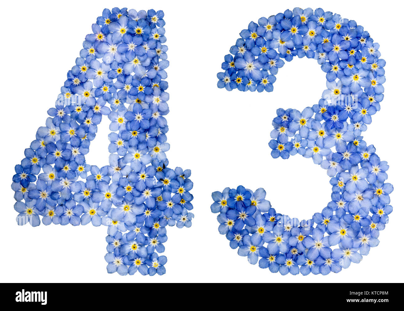 Chiffre arabe 43, quarante trois, de blue forget-me-not fleurs, isolé ...