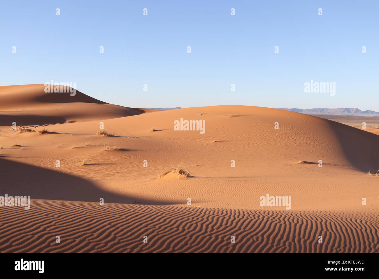 Désert du sahara desierto del sahara Banque de photographies et d ...