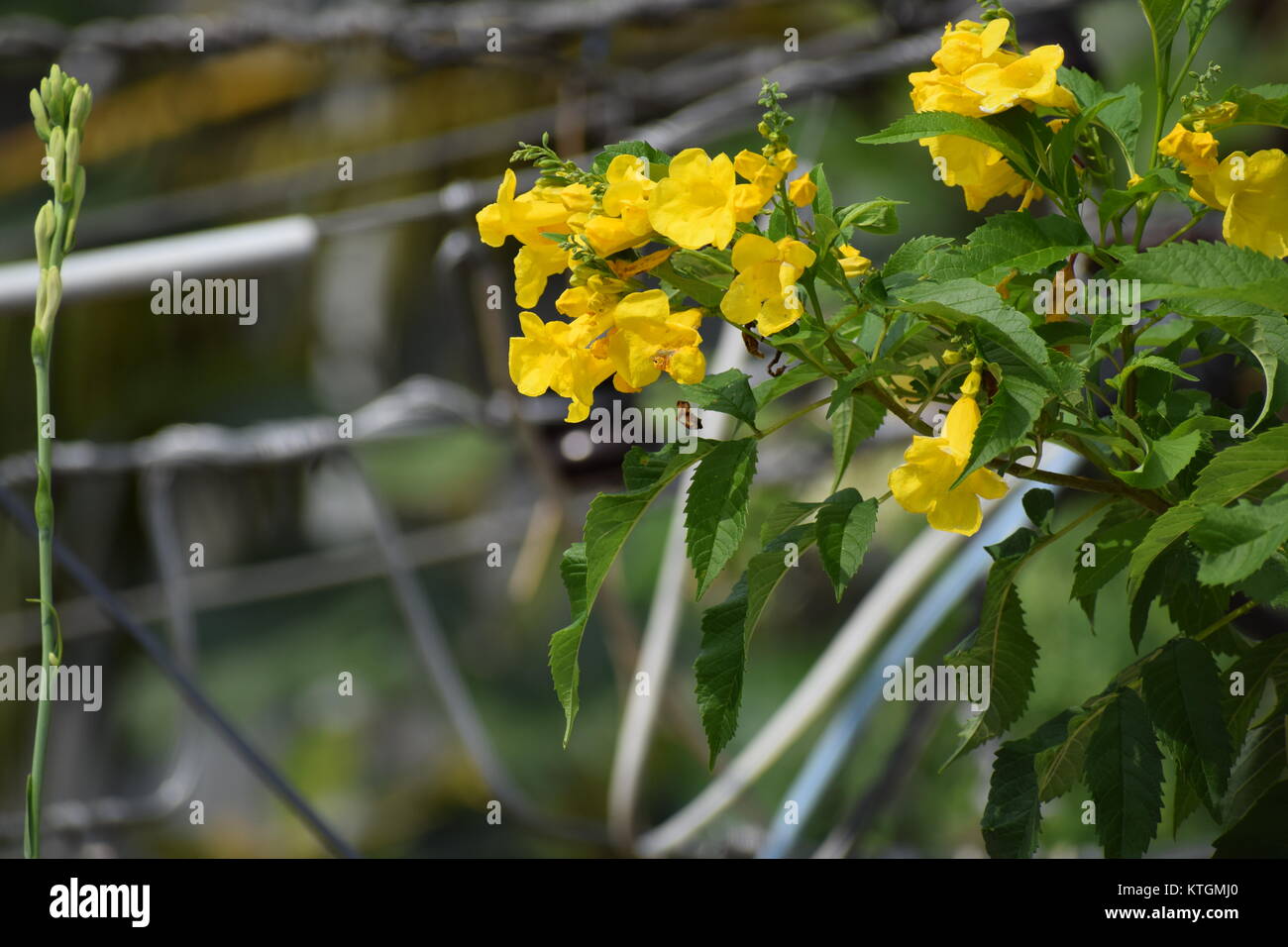Top 10 des photos Banque de photographies et d’images à haute ...