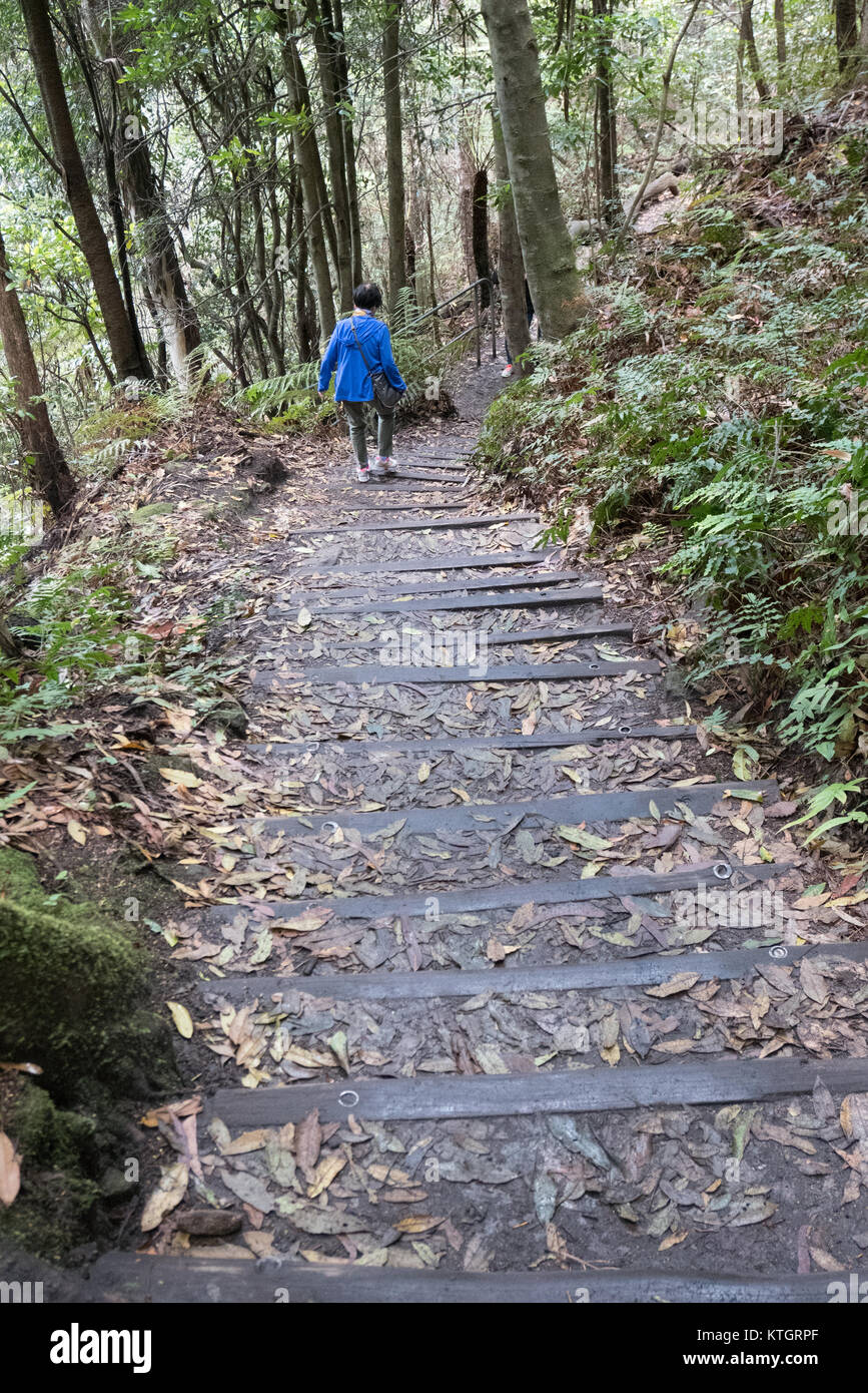 Walking down steps Banque de photographies et d’images à haute ...