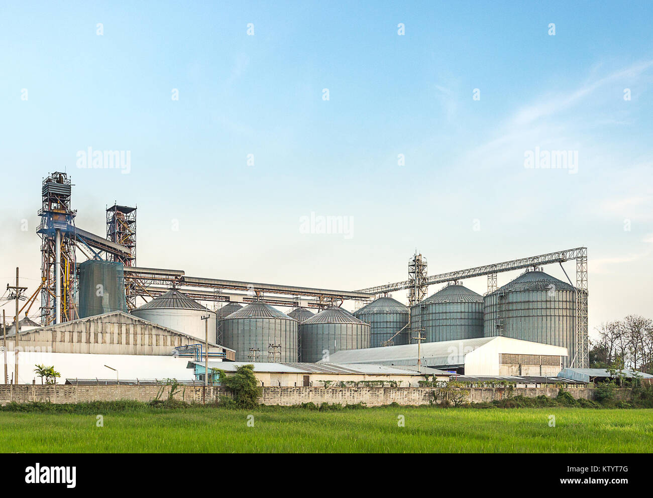 Champ de transformation du riz Banque de photographies et d’images à ...