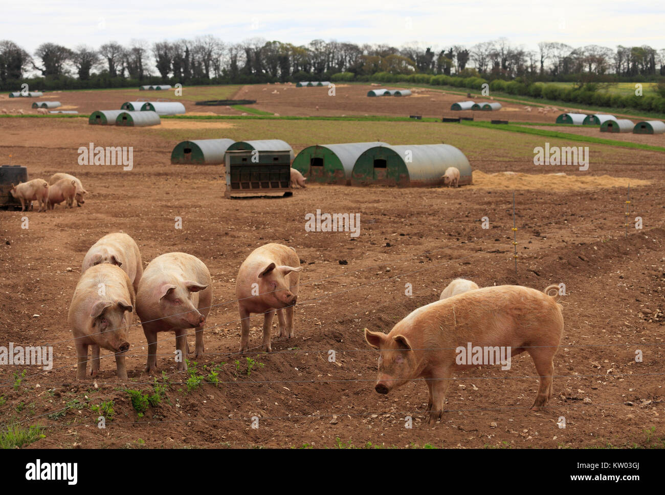 Fermes rurales en plein air Banque de photographies et d’images à haute ...