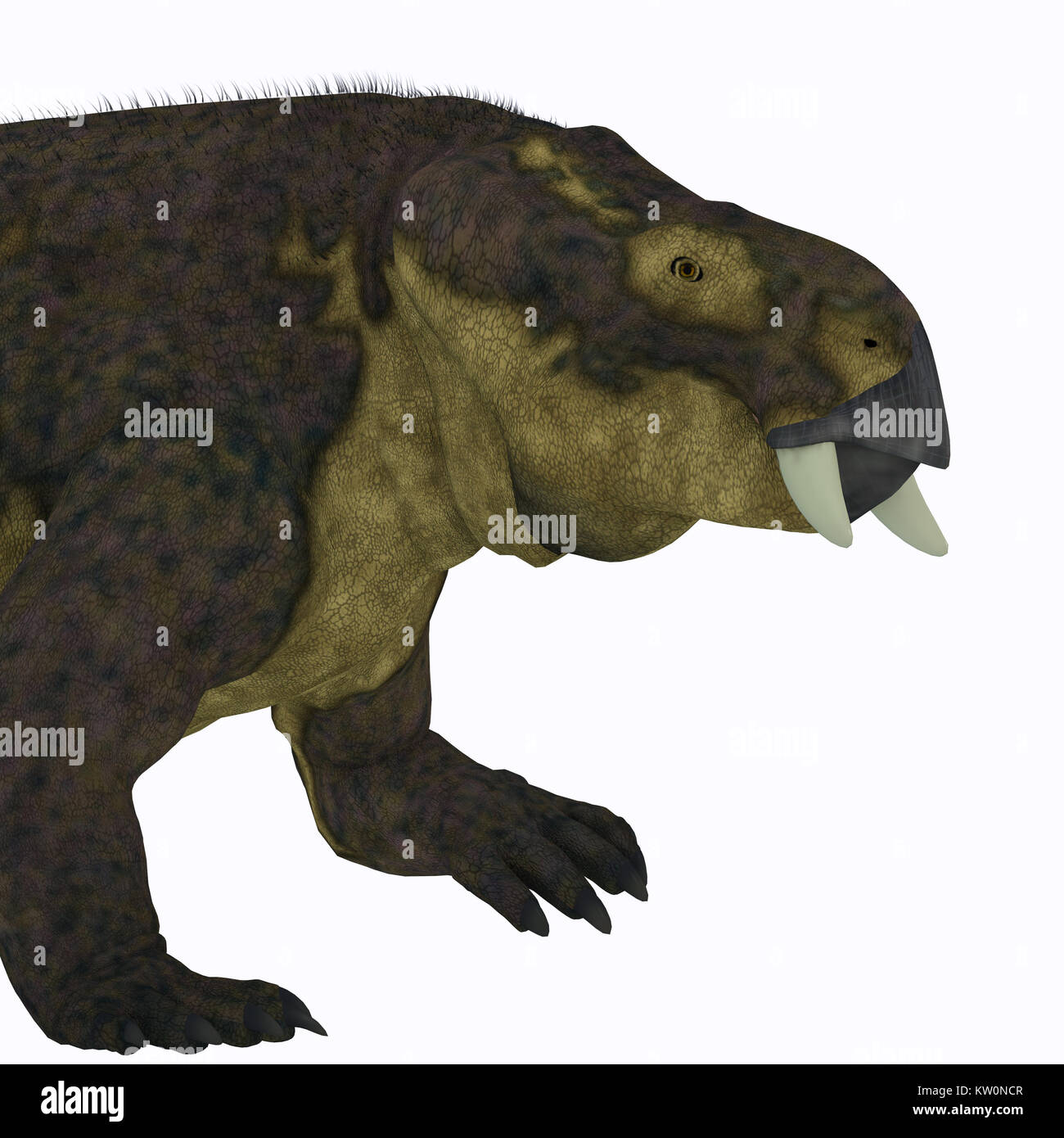 Dicynodont triassic Banque de photographies et d’images à haute ...