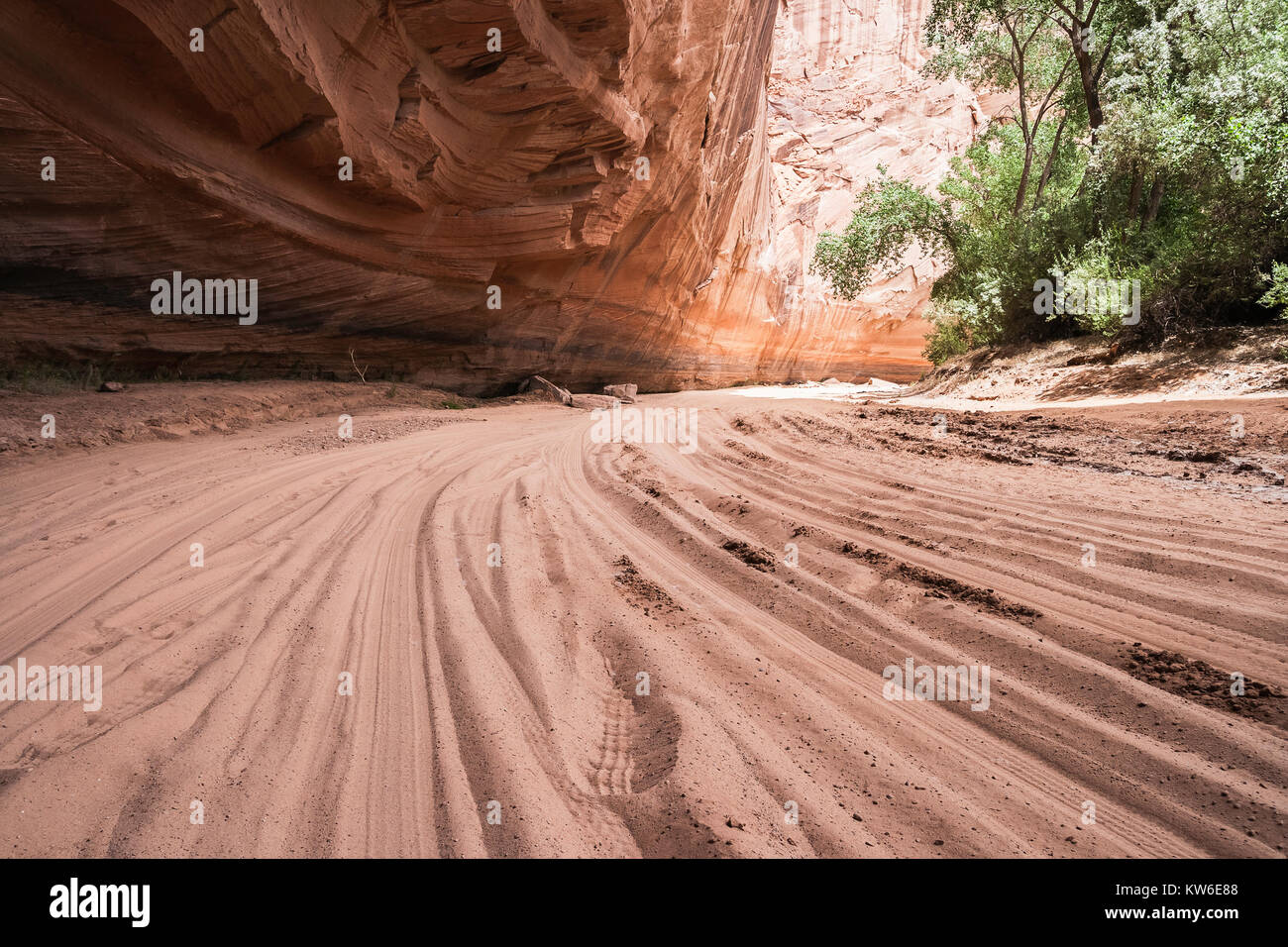 Chemin de sable courbe avec traces de roues dans le Canyon de Chelly ...