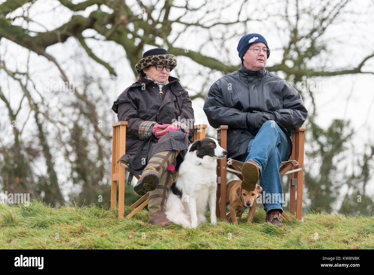 Cheval assis sur fauteuil Banque de photographies et d’images à haute ...