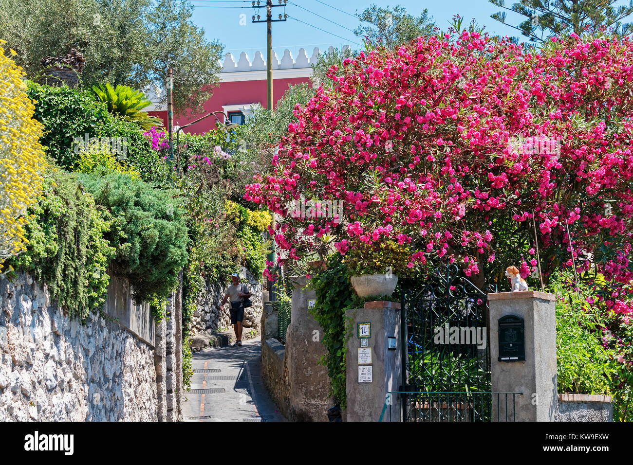 Jardins floraux capri Banque de photographies et d’images à haute ...