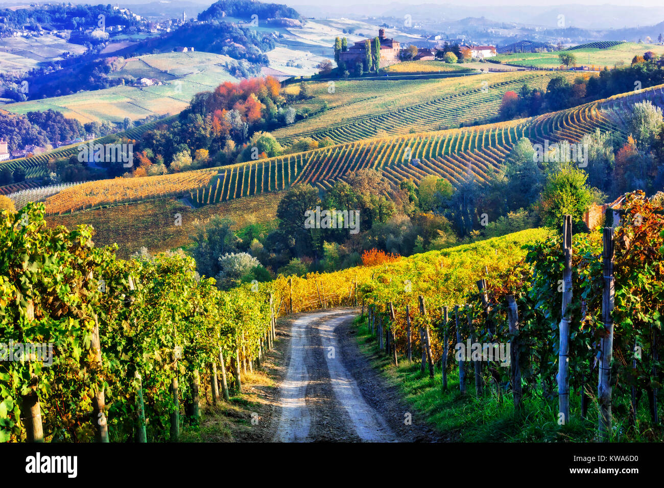 Vignobles barolo Banque de photographies et d’images à haute résolution ...
