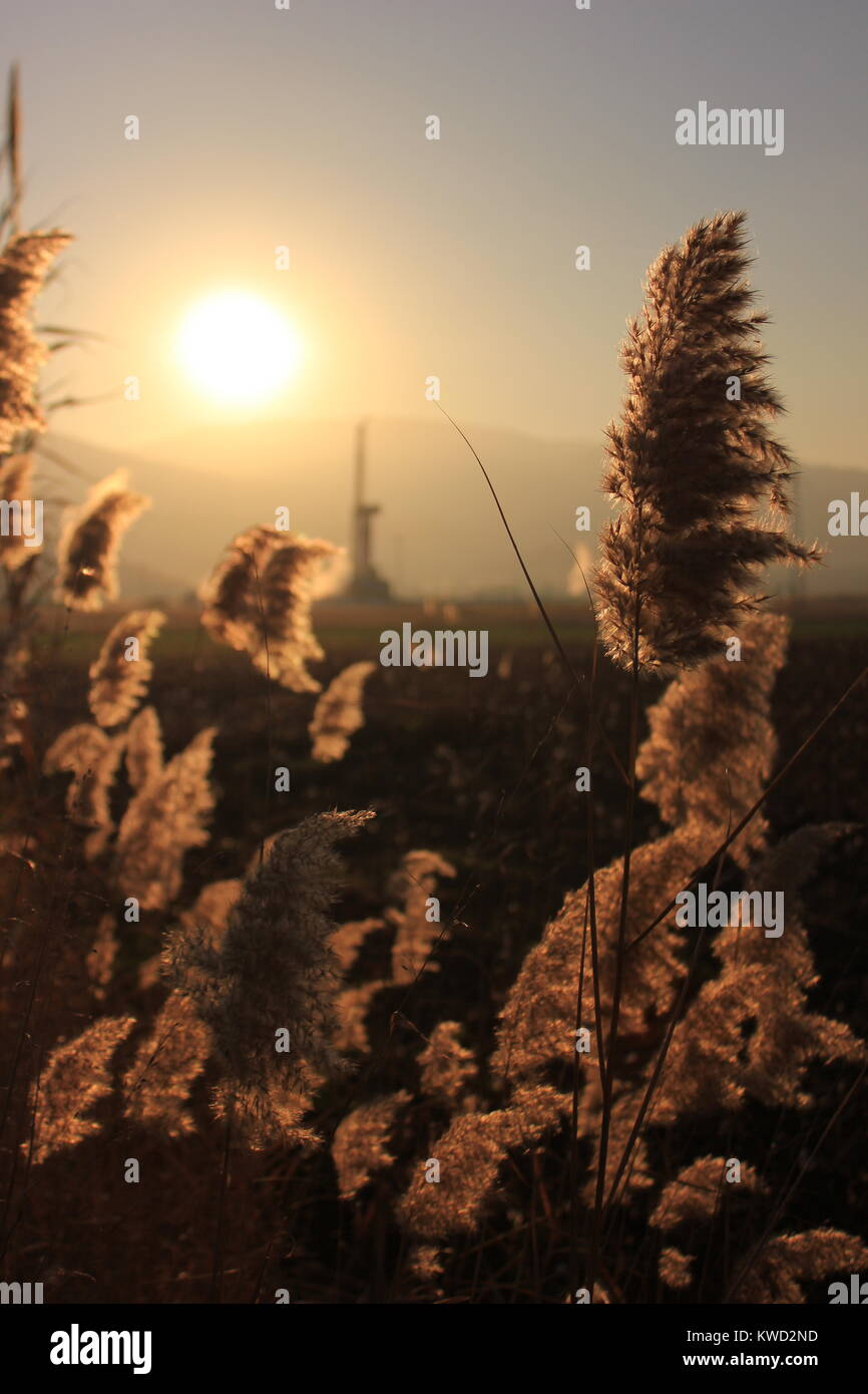 Plancher de forage Banque de photographies et d’images à haute ...