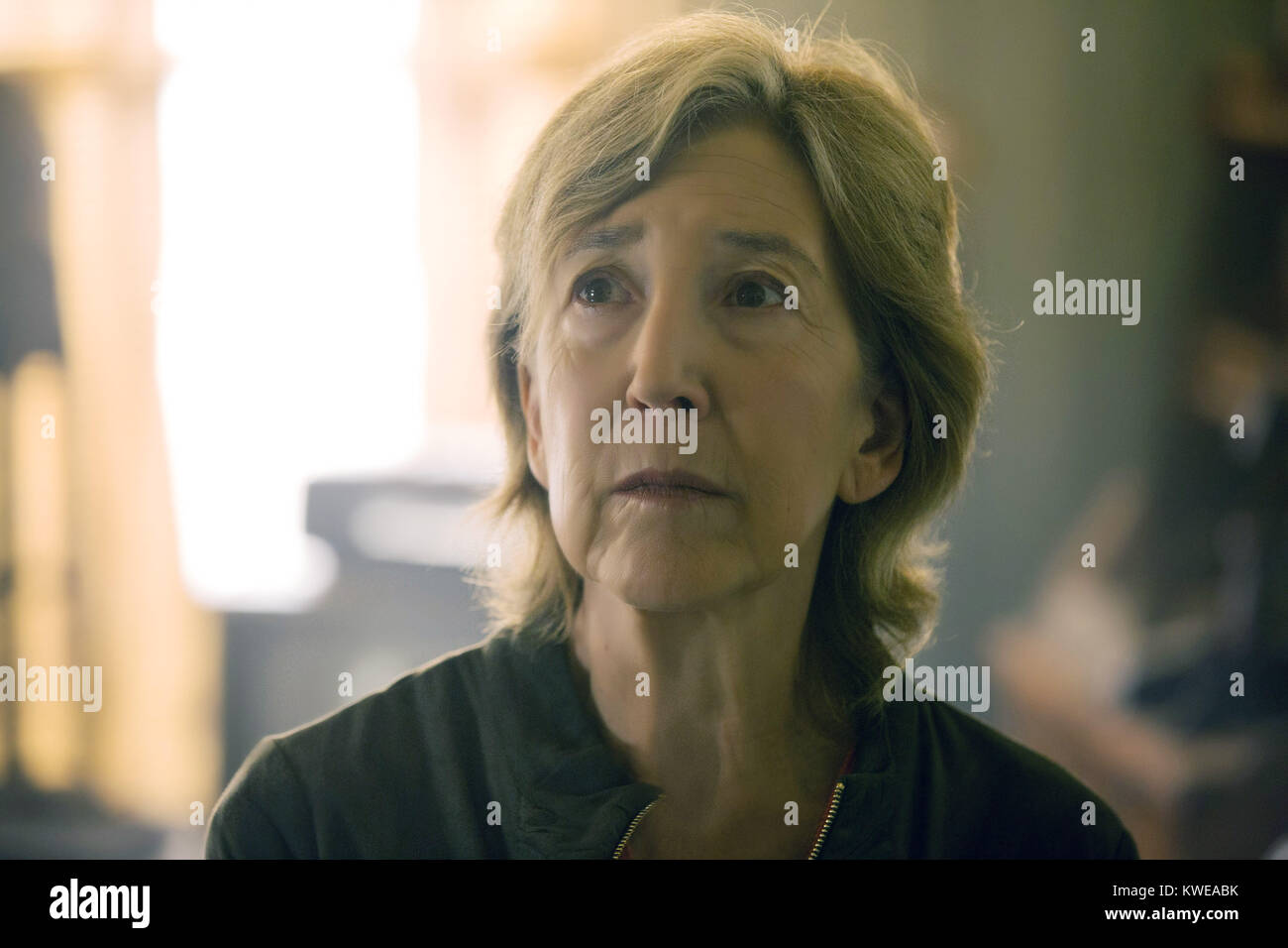 Insidieux : La dernière touche, (aka insidieux : chapitre 4), Lin Shaye ...