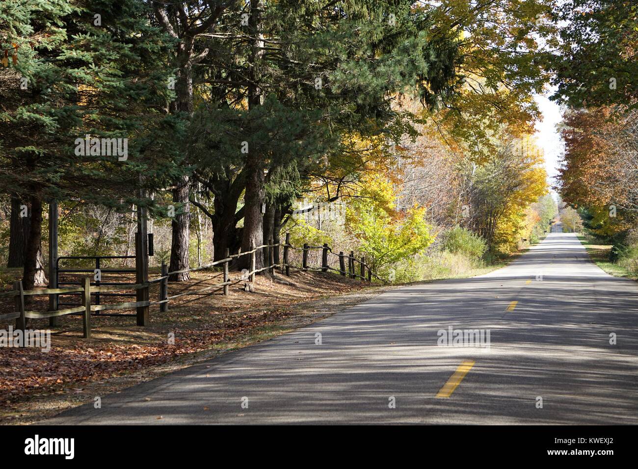 Route boisée automne Banque de photographies et d’images à haute ...