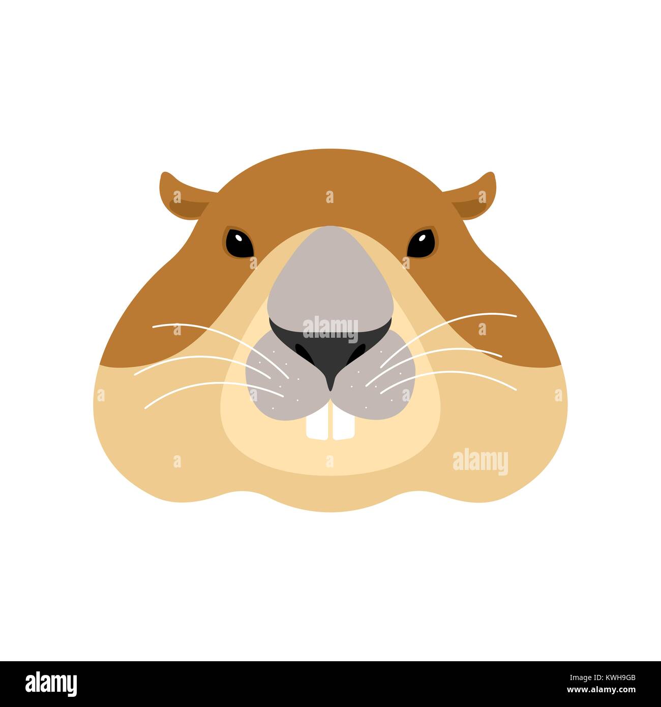 Visage de la marmotte. Tête de la marmotte. Marmot. Vector illustration ...