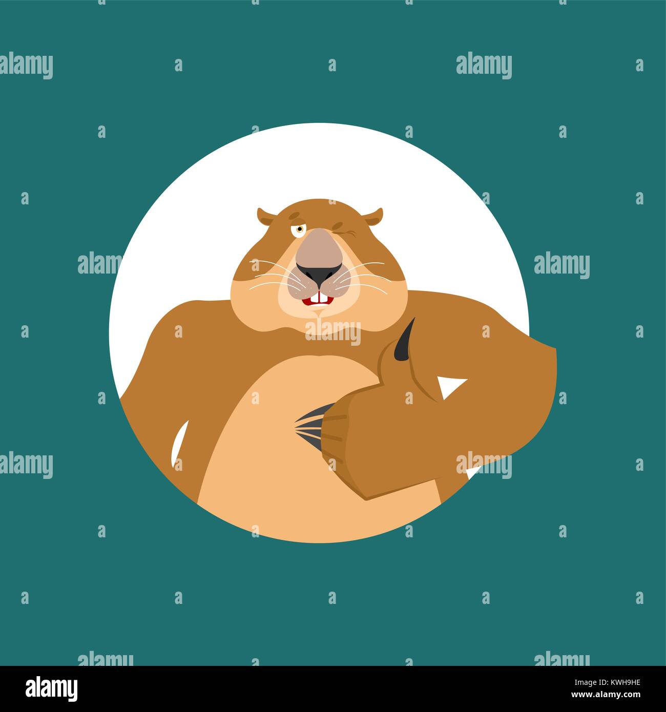 Marmotte Thumbs up et clins d'œil. Marmotte d'heureux caractères emoji ...