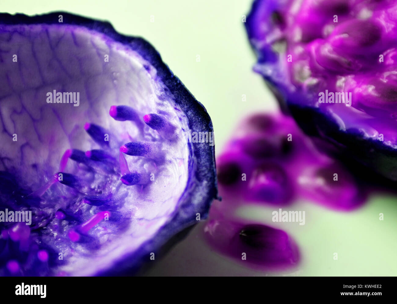 Fond image couleur fruit de la passion Banque de photographies et d ...