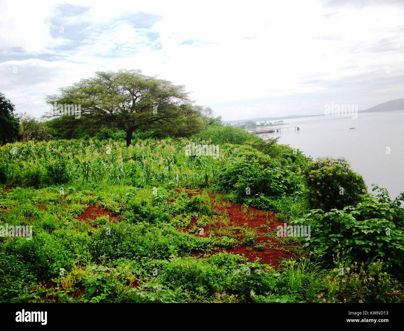 Source du fleuve nil Banque de photographies et d’images à haute ...
