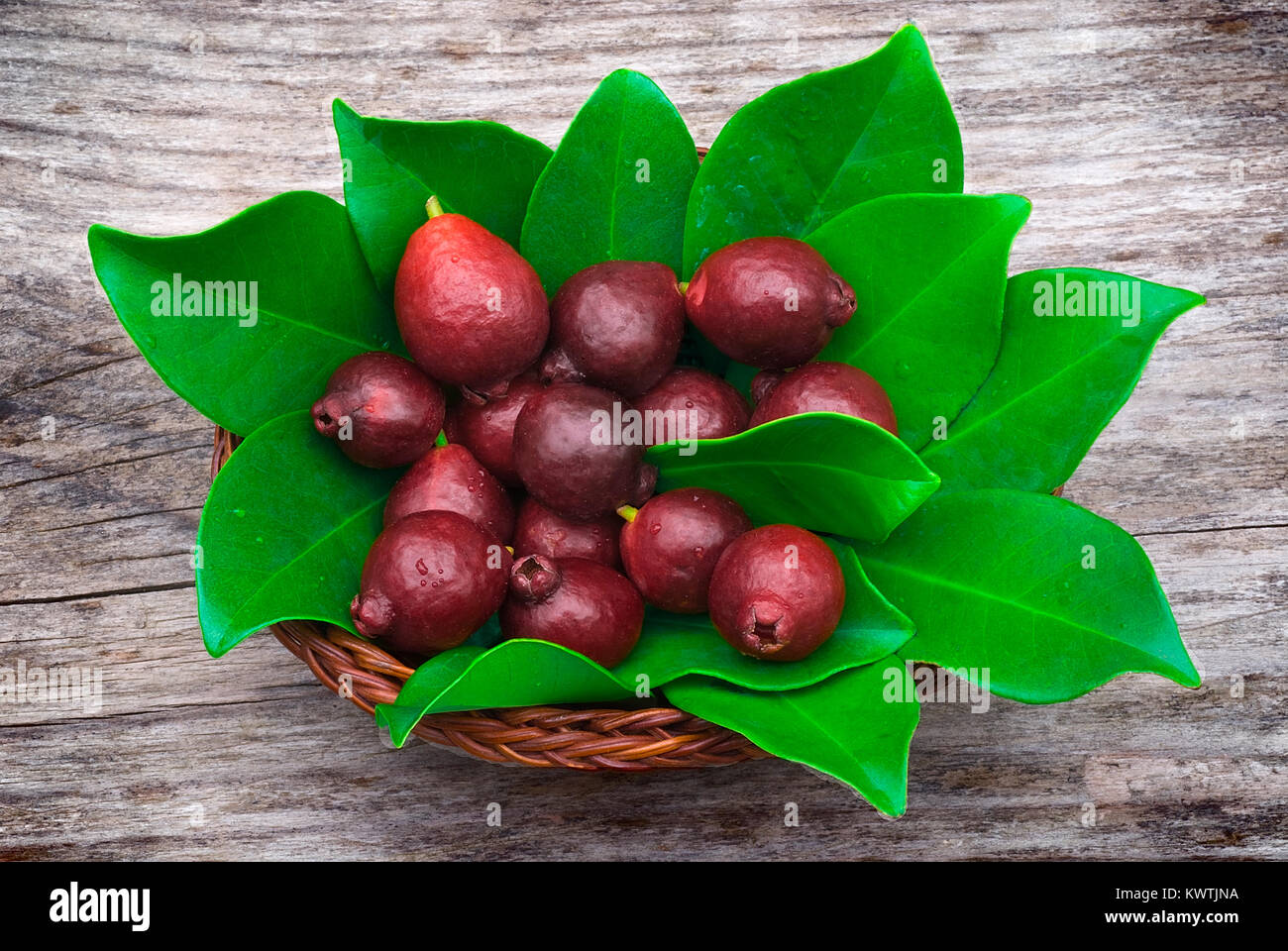 Cattley goyave (Psidium littorale subsp. longipes) ou de goyave ...