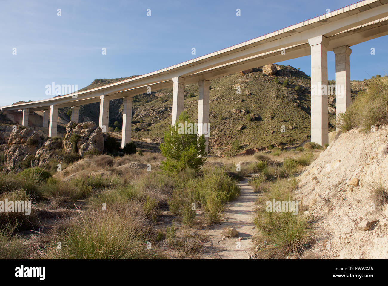Mula murcia Banque de photographies et d’images à haute résolution - Alamy