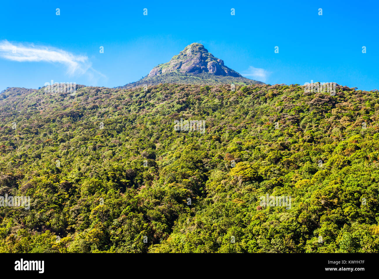 Adams Peak ou Sri Pada est une haute montagne au Sri Lanka. Adams pic ...