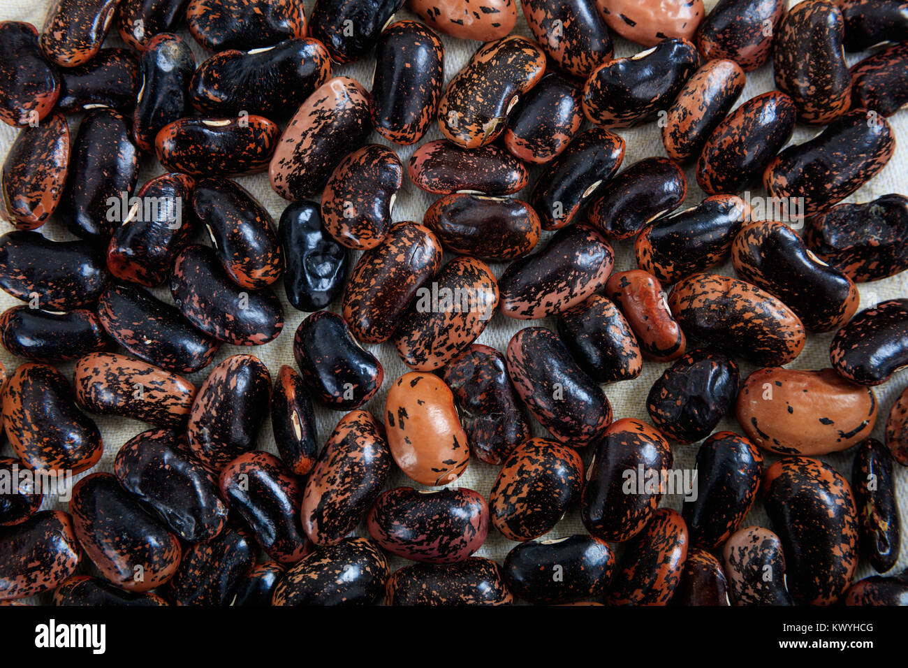 Haricots de lima Banque de photographies et d’images à haute résolution ...