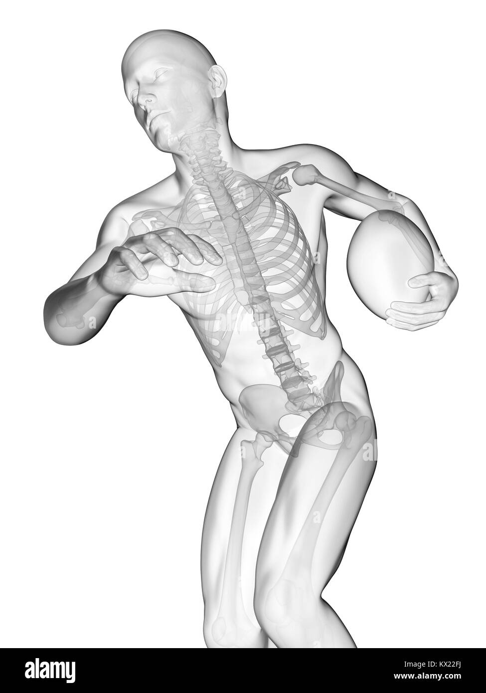 Skeletal structure of rugby player Banque d'images noir et blanc - Alamy
