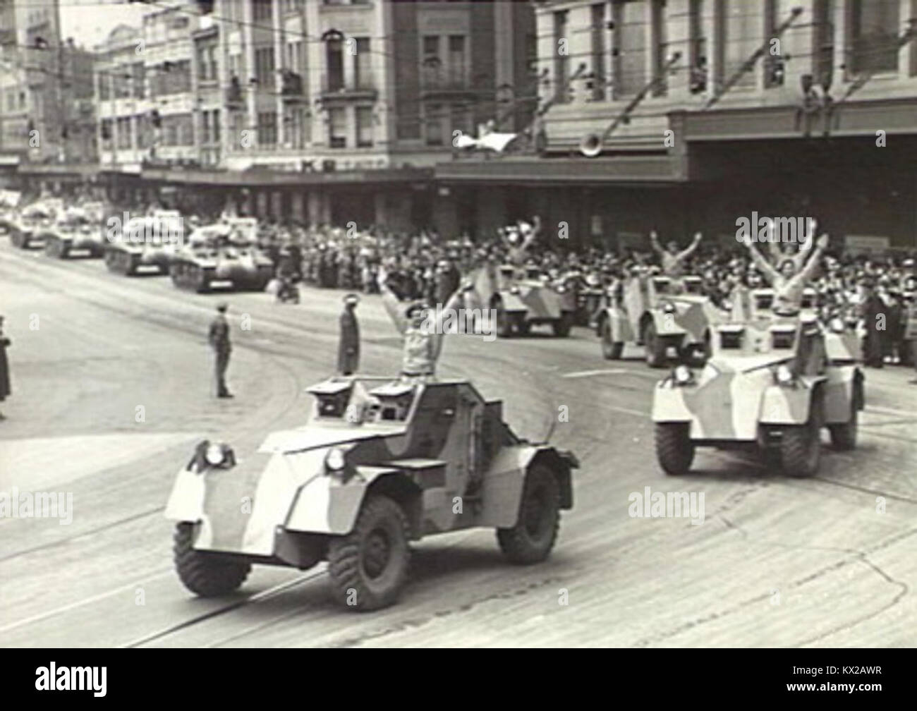 Old Dingo Banque d'image et photos - Alamy