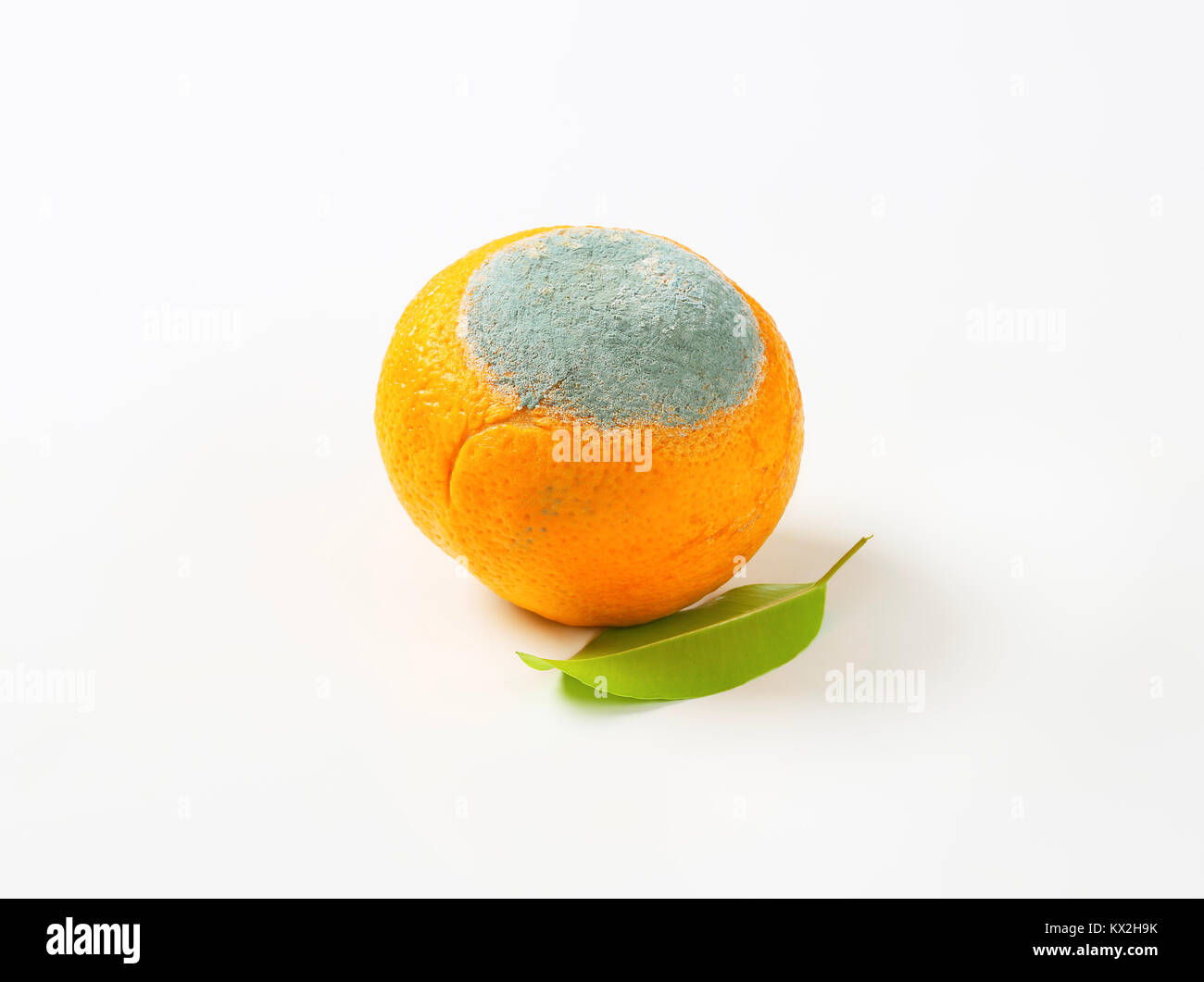 Mouldy orange fruit Banque de photographies et d’images à haute ...