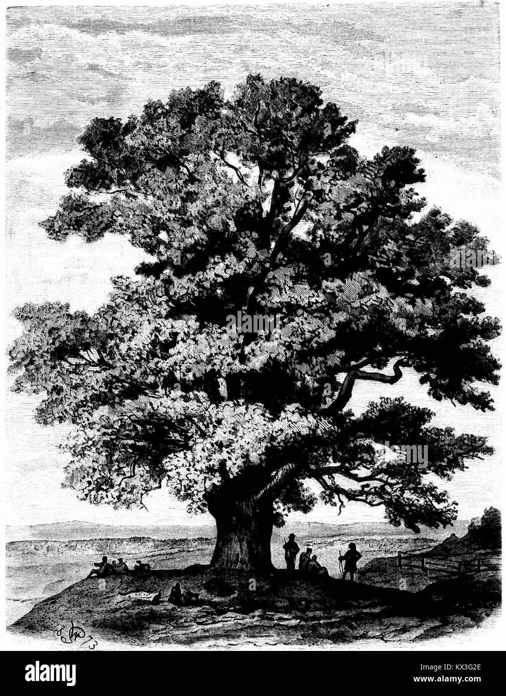 Wojciech gerson Banque de photographies et d’images à haute résolution ...